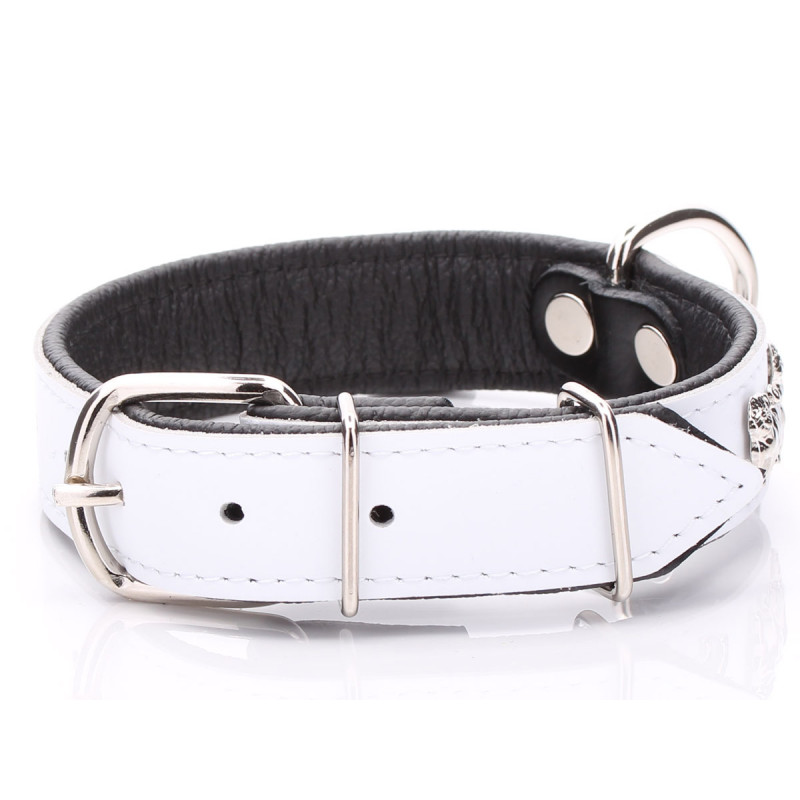 White Leather Pug Collars - Carlin Collar