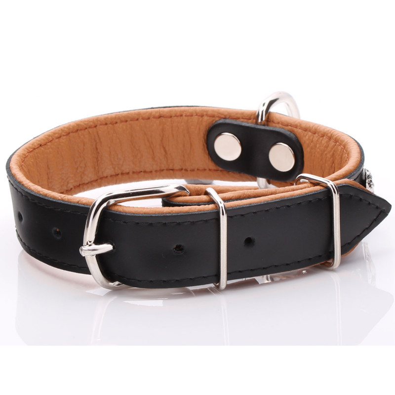 Black & Tan Leather Pug Collars with soft padding