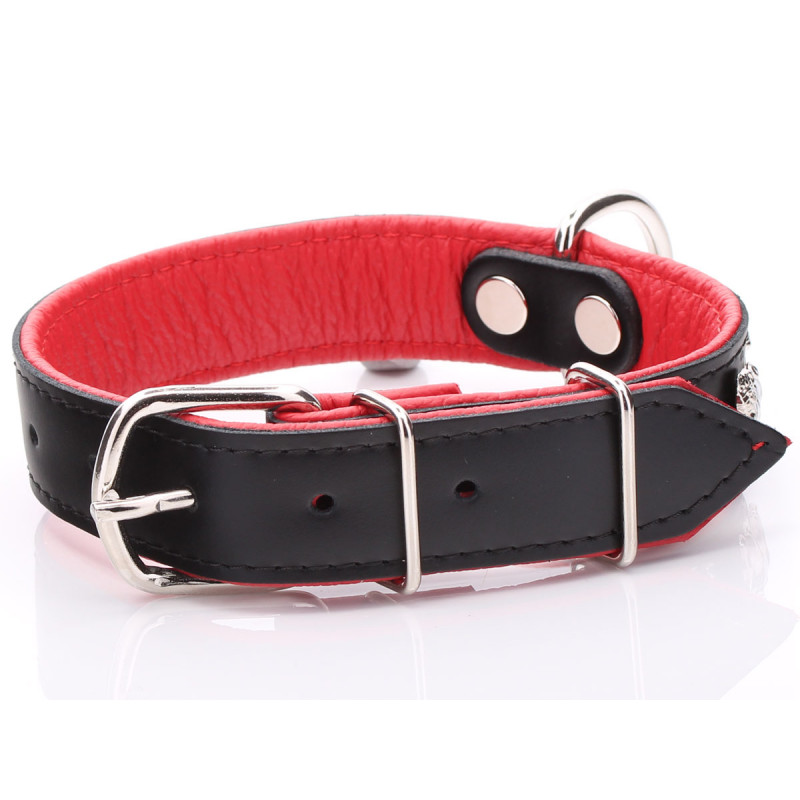 Genuine Padded Black & Red Leather Pug Collar