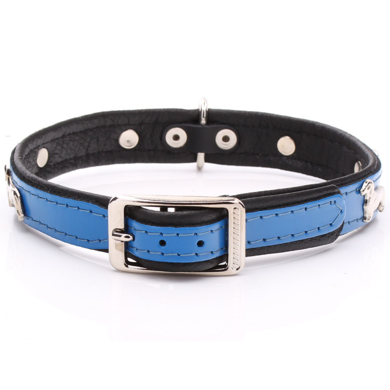 Blue Leather Wiener Dog Collars