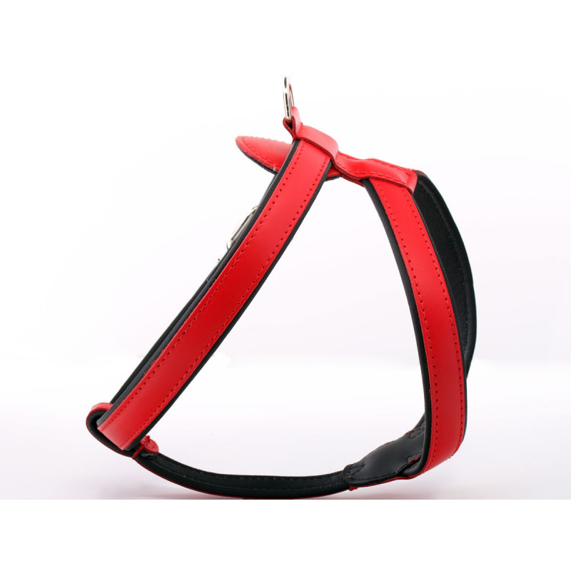 Padded Red Leather Dog Harness