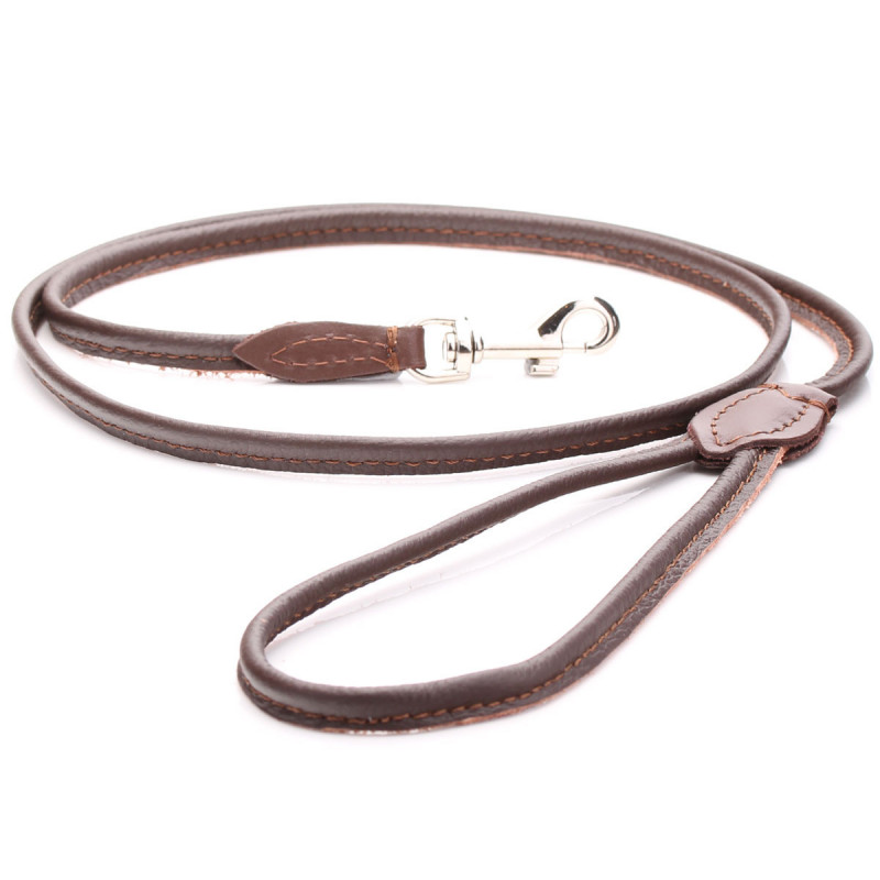 Brown Rolled Leather Dog Lead
