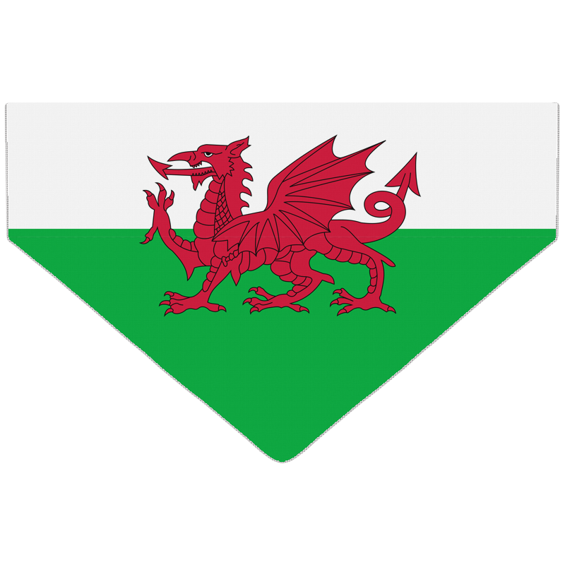 Personalised Welsh Y Ddraig Goch Flag Dog Bandana