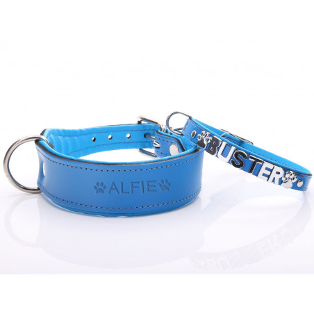 Custom Blue Leather Dog Collar with Blue Padding