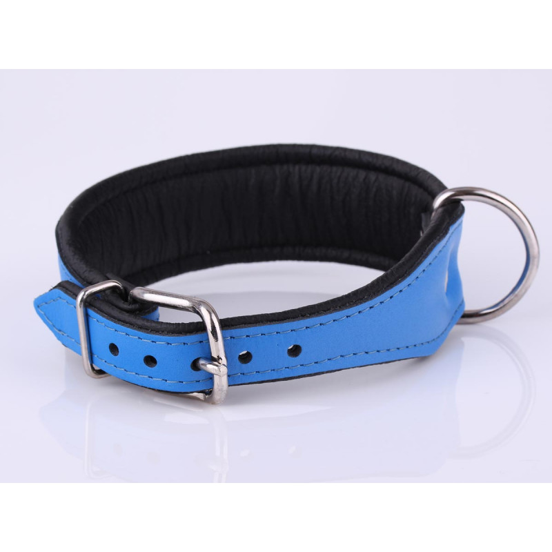 Thick Wide Padded Dog Collar - Blue Leather with Personalisation