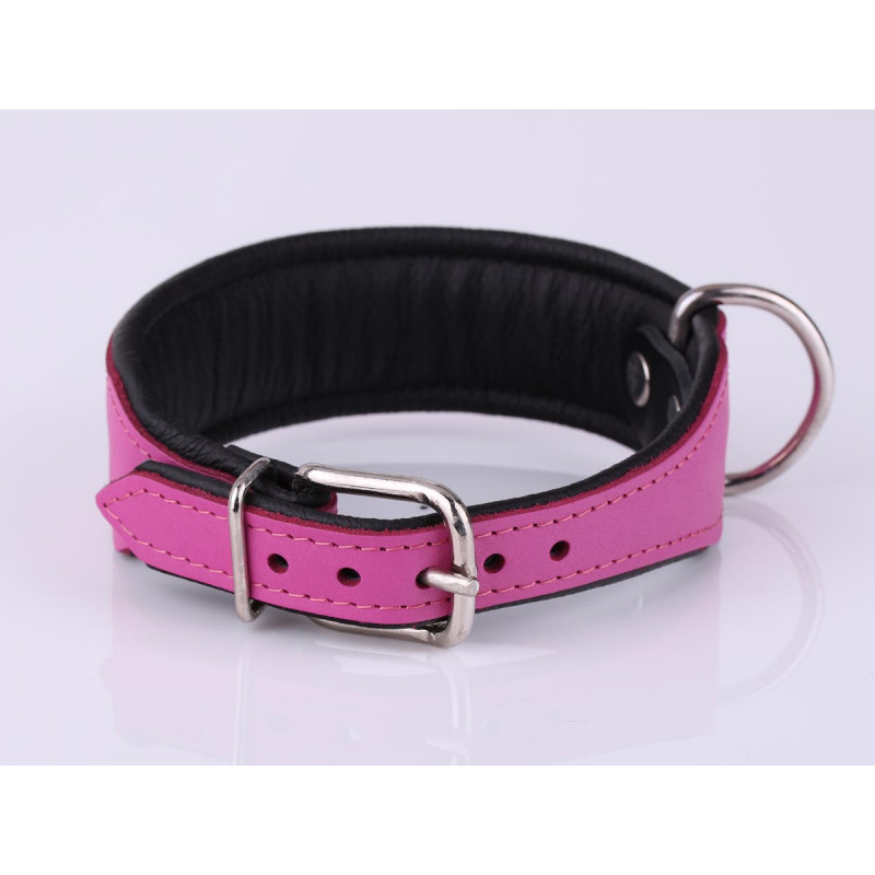 Wide Pink Leather Dog Collar for Girl Dogs
