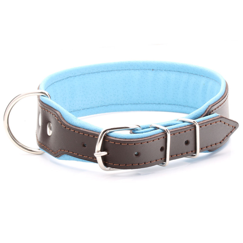 Ampia, Collare Di Cane Imbottita In Pelle Marrone E Blu Italia ...