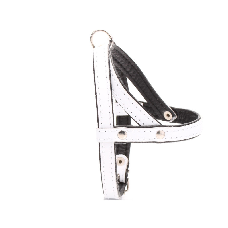 Handmade White Leather Dog Harness