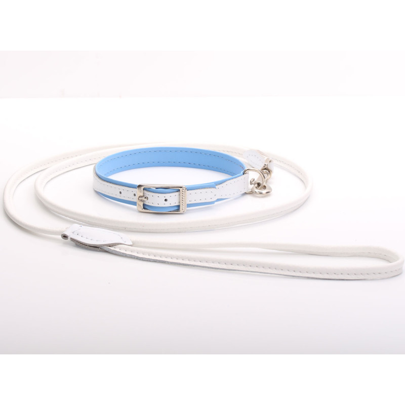 Mano Colletto Bianco E Blu Di Cane In Pelle E Set Di Piombo Italia ...