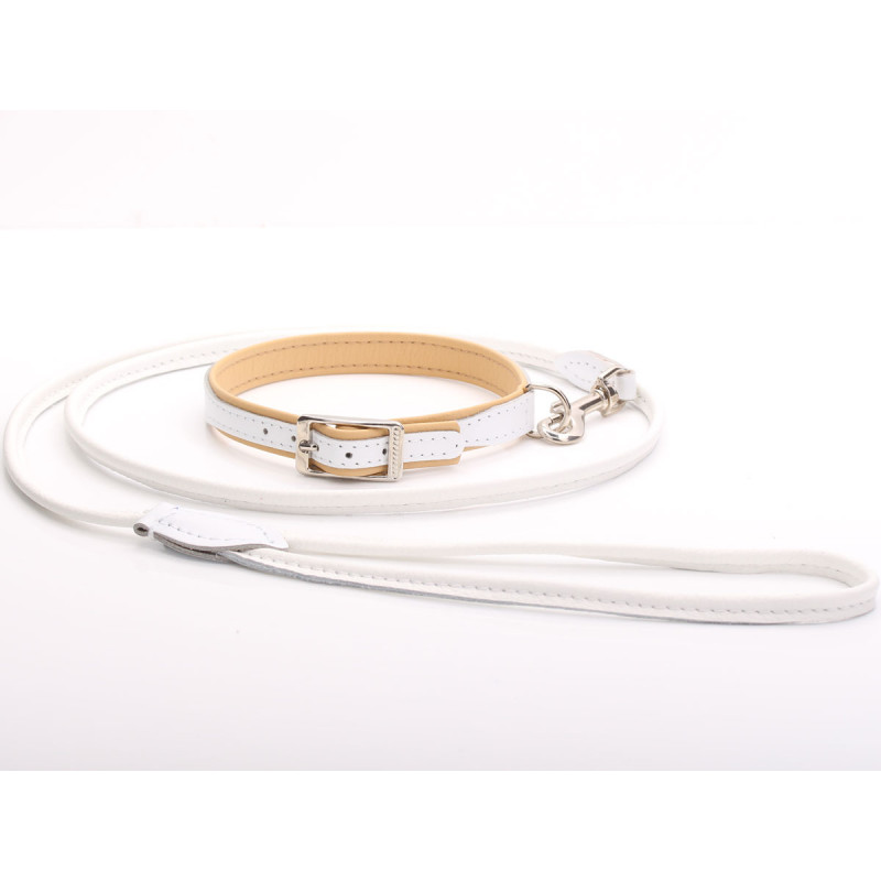 Mano Colletto Bianco E Beige Di Cane In Pelle E Set Di Piombo Italia ...