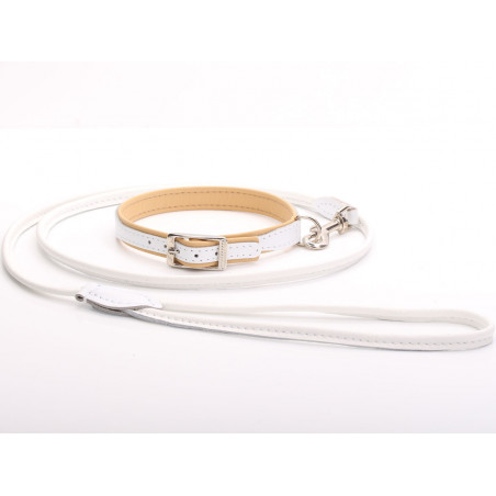 Mano Colletto Bianco E Beige Di Cane In Pelle E Set Di Piombo Italia ...