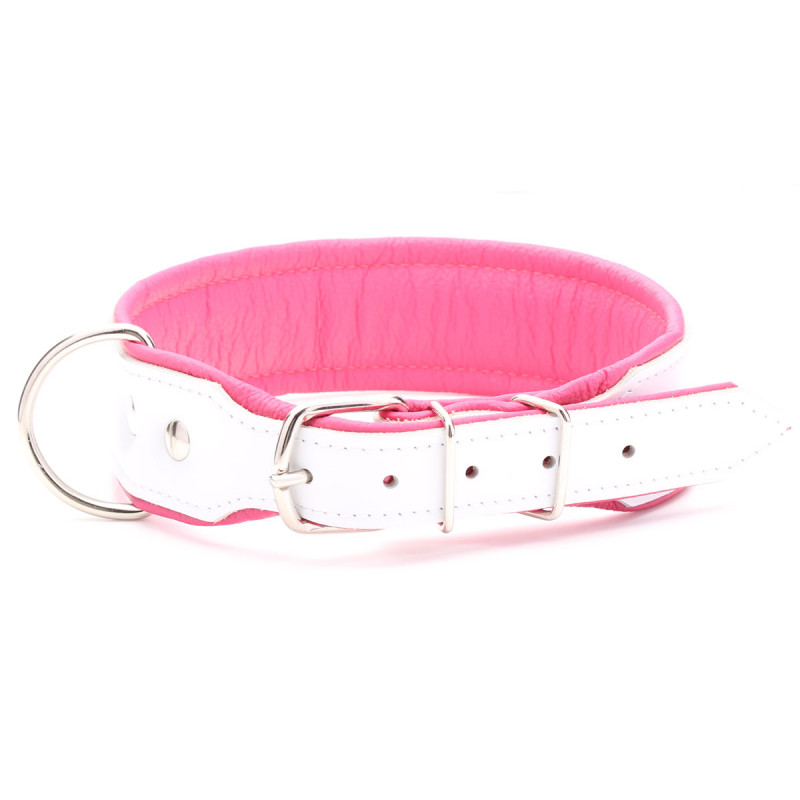 Posh White & Pink Padded Dog Collar