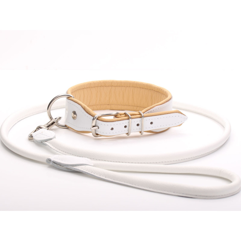 Mano Colletto Bianco E Beige Di Cane In Pelle E Set Di Piombo Italia ...