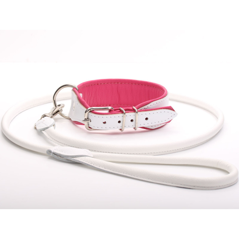 Mano Colletto Bianco E Rosa Di Cane In Pelle E Set Di Piombo Italia ...