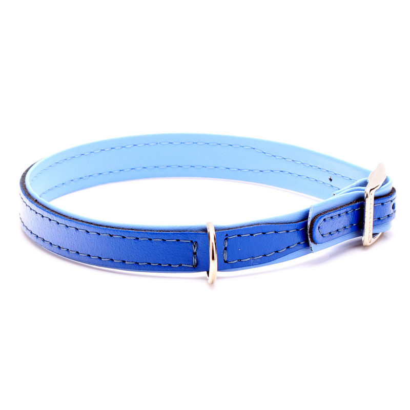 Custom Blue Leather Dog Collar with Blue Padding