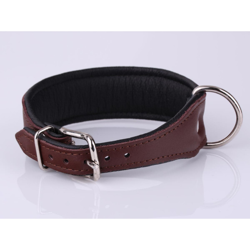 Cool Brown Leather Dog Collar with Soft Padding