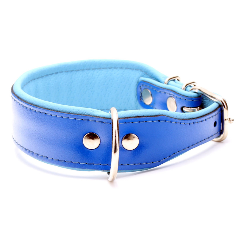 Custom Blue Leather Dog Collar with Blue Padding