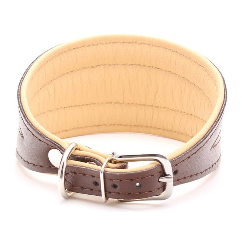 Brown & Beige Padded Leather Greyhound, Lurcher & Whippet Collar UK