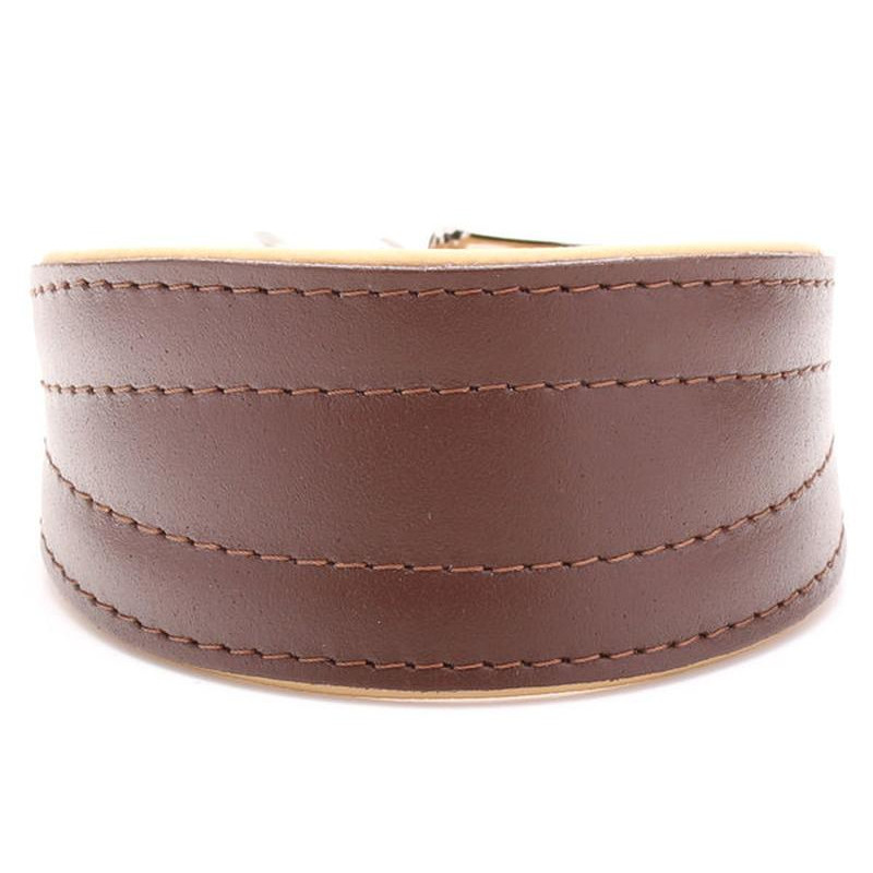 Brown & Beige Padded Leather Greyhound, Lurcher & Whippet Collar UK