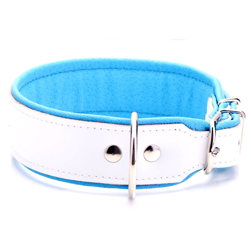 Wide, Padded White & Blue Leather Dog Collar