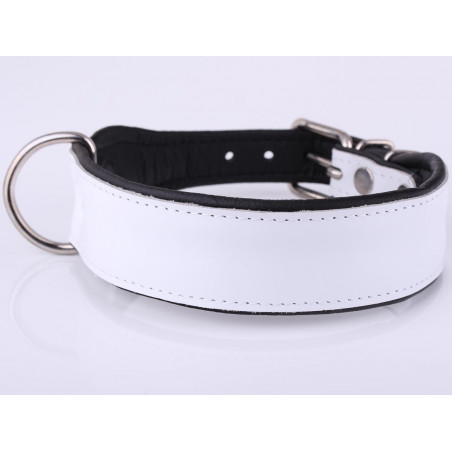 Padded White Leather Dog Collar - Extra Wide Design