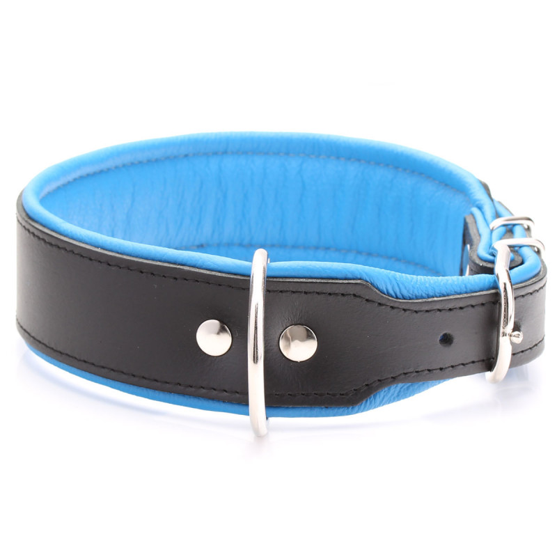 Large Padded Black & Blue Leather Dog Collar with Personalisation