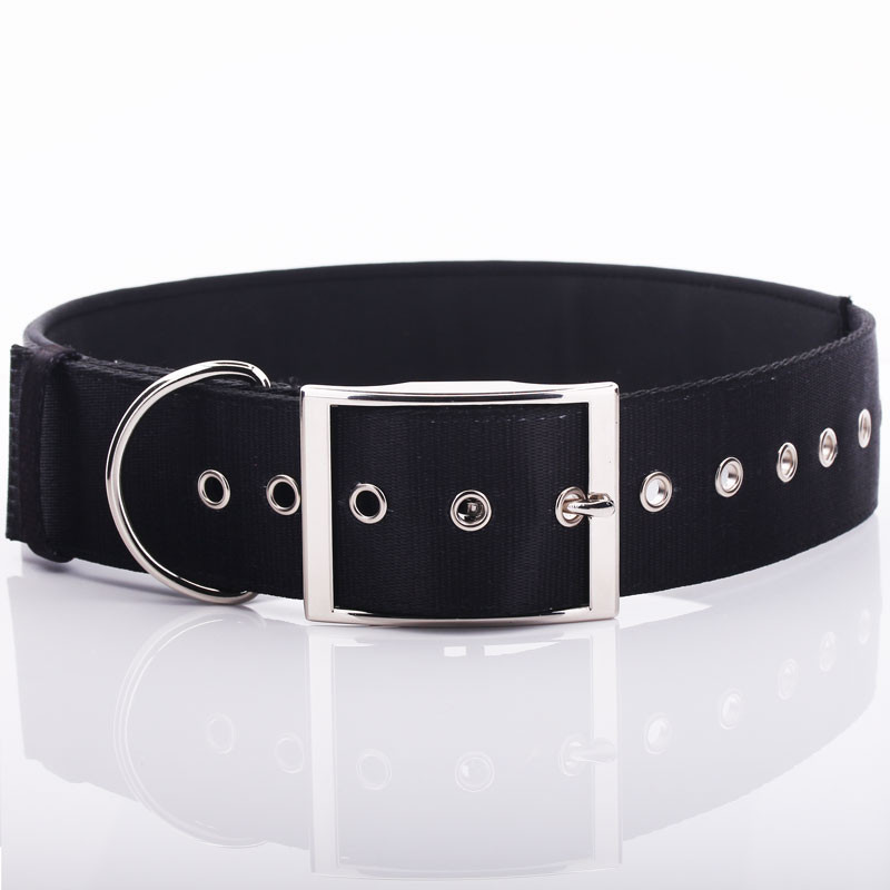 Personalised Fabric Collar with Padding and Buckle