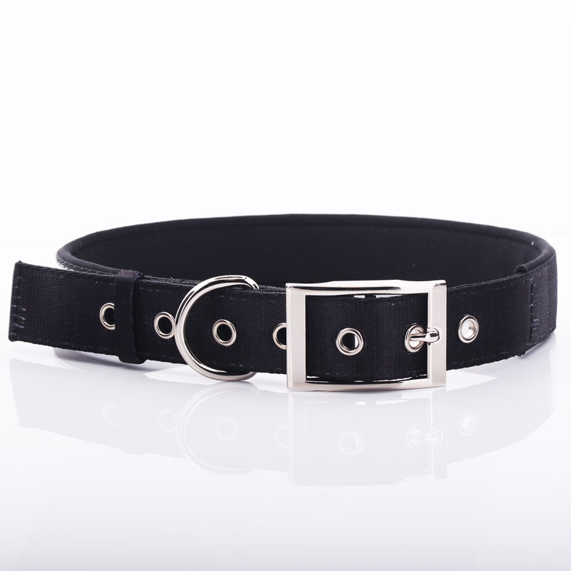 Personalised Fabric Collar with Padding and Buckle