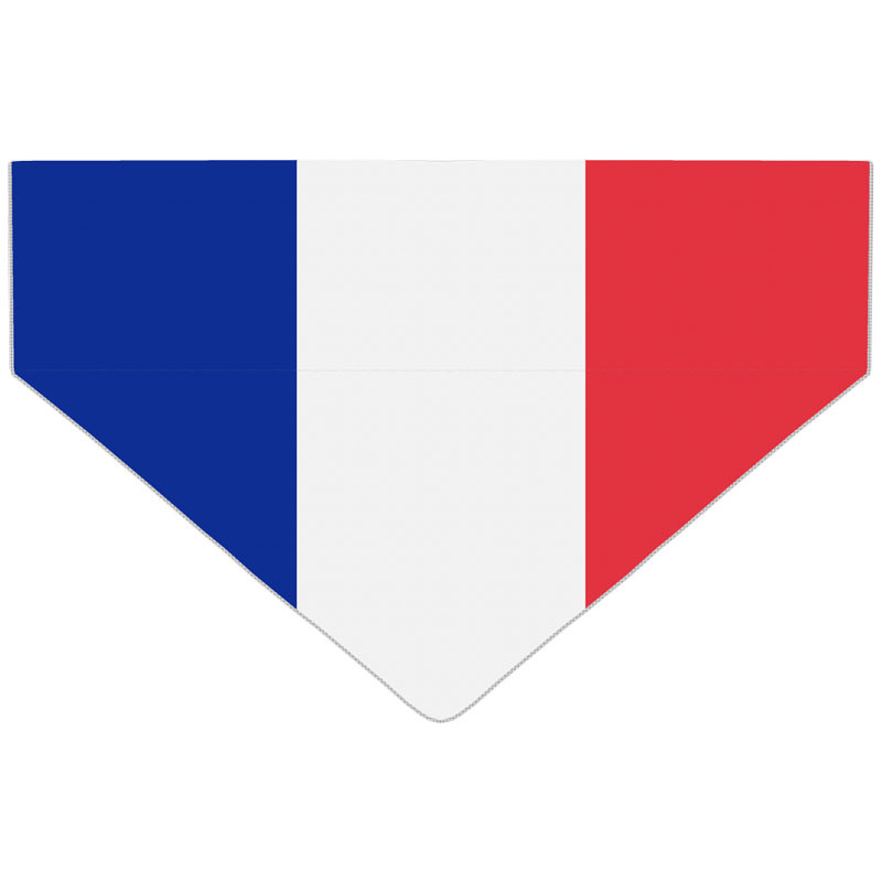 Personalised French Flag Dog Bandana