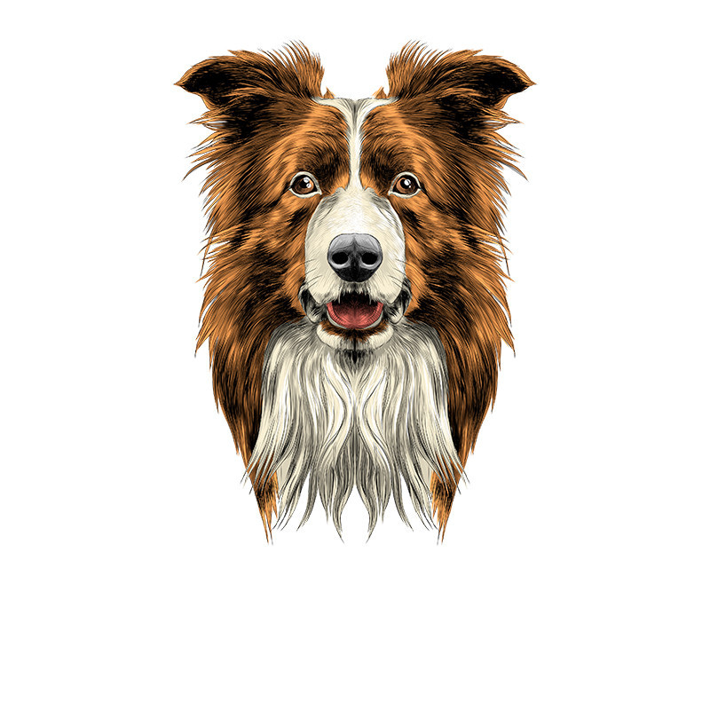 Border Collie Coffee Mug