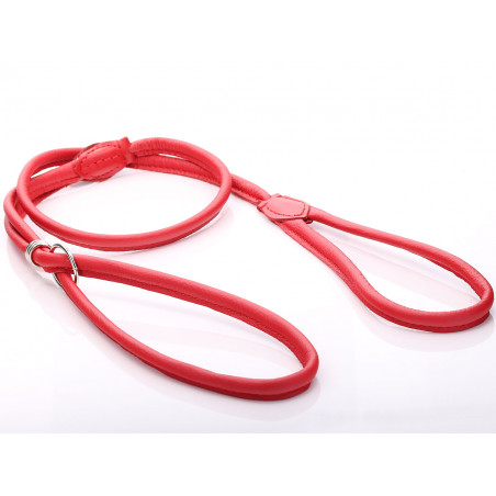 Red Leather Dog Collar & Lead in One - Dog Halti Lead