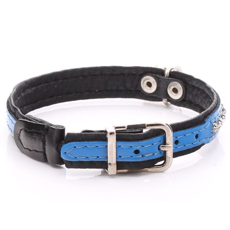 Crystalised Blue leather Cat Collar