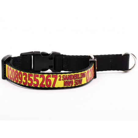 Personalised Yellow Martingale Collar with Print