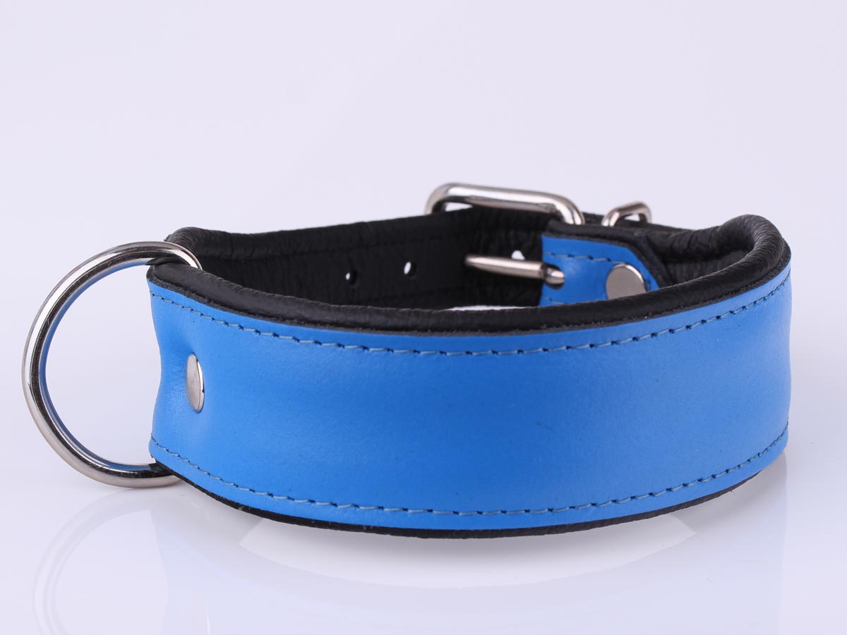 Personalised Dog Collars or Puppy Collar. Padded Leather. XS, Small or ...
