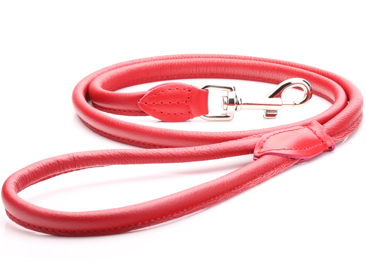 Red Rolled Leather Dog Lead