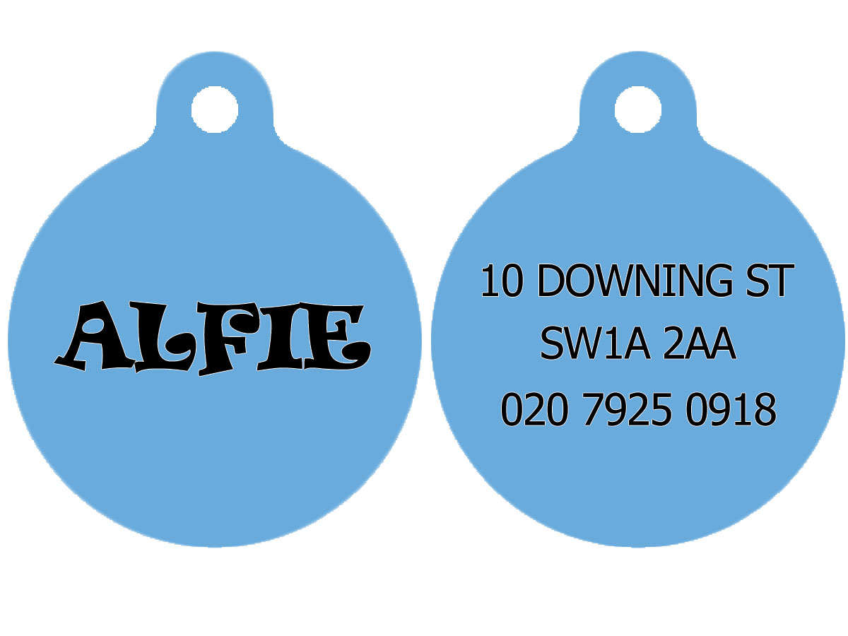 Custom Baby Blue Metal Dog Tag